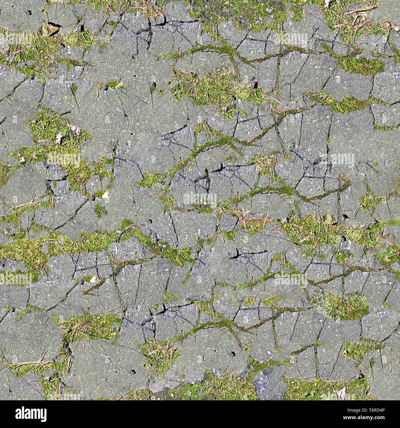 Asphalt Seamless Texture Tile Stock Photo - Alamy