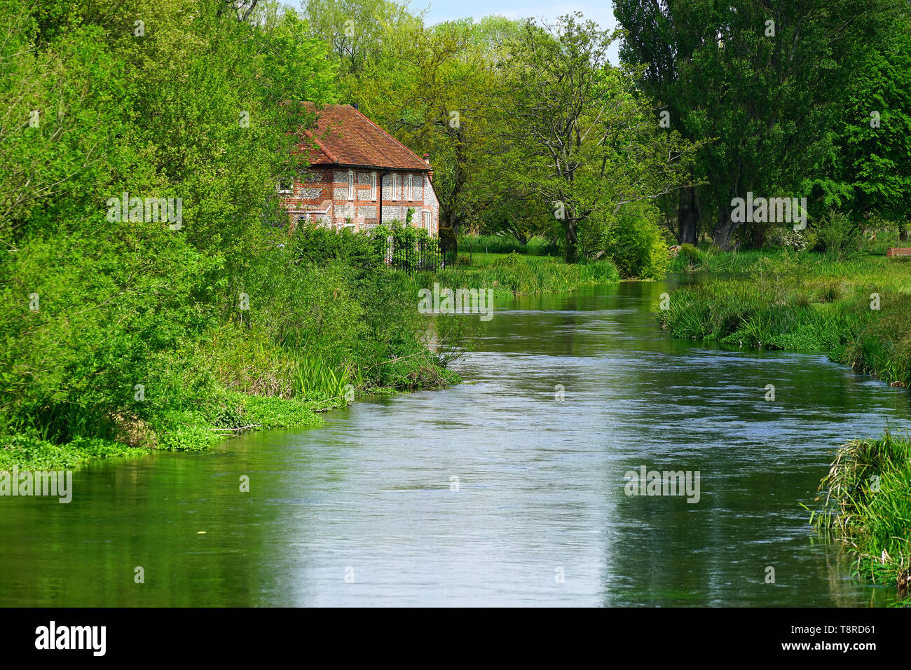 Itchen river hi-res stock photography and images - Alamy