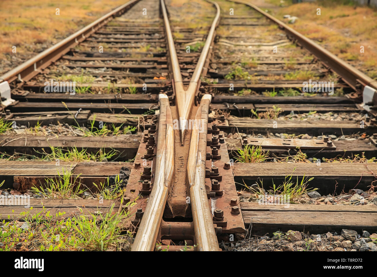 Old railway tracks Stock Photo - Alamy