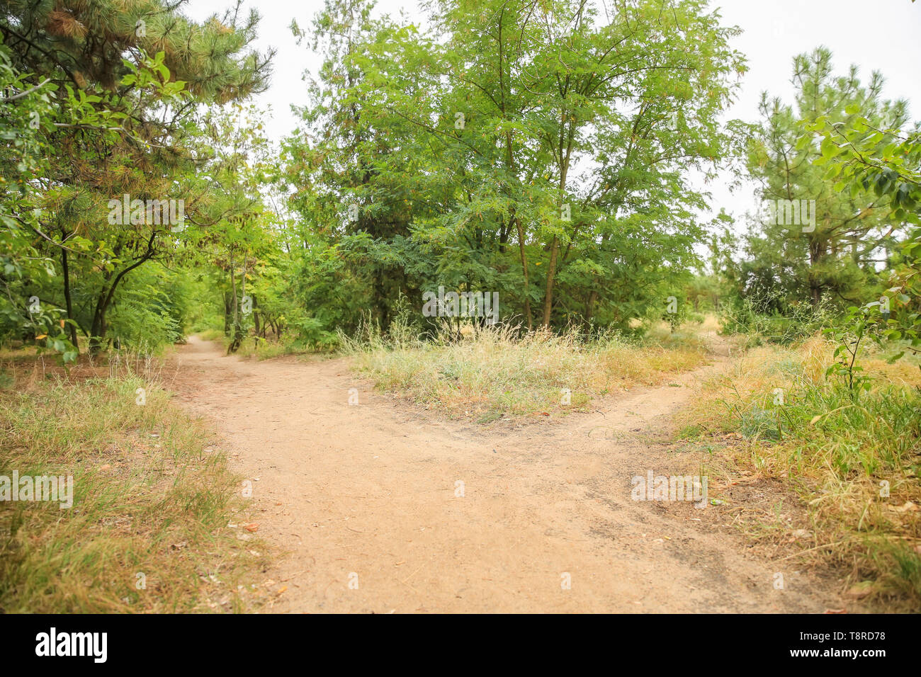 Crossways road hi-res stock photography and images - Alamy