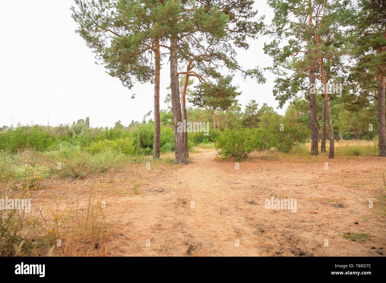 Ground pathway hi-res stock photography and images - Alamy