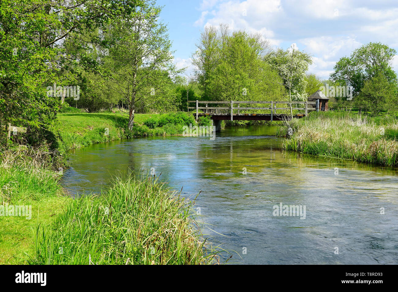 Test valley hi-res stock photography and images - Alamy