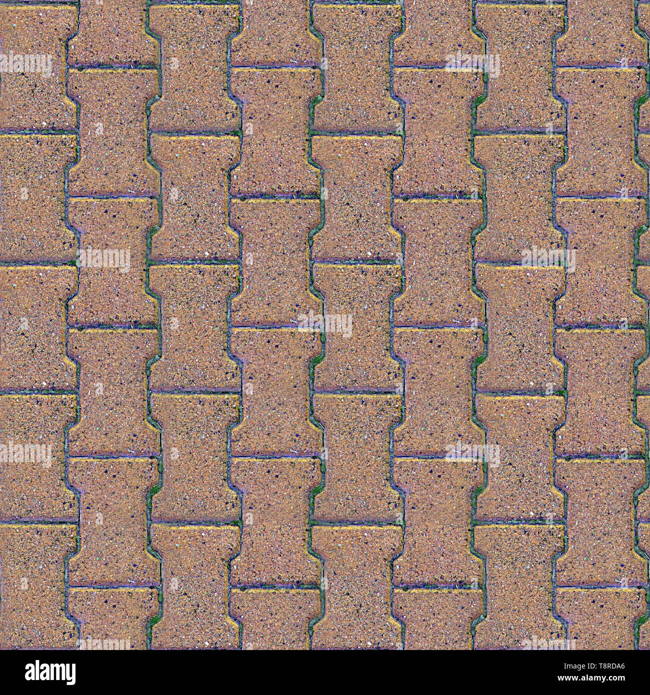 Pavers Seamless Texture Tile Stock Photo - Alamy
