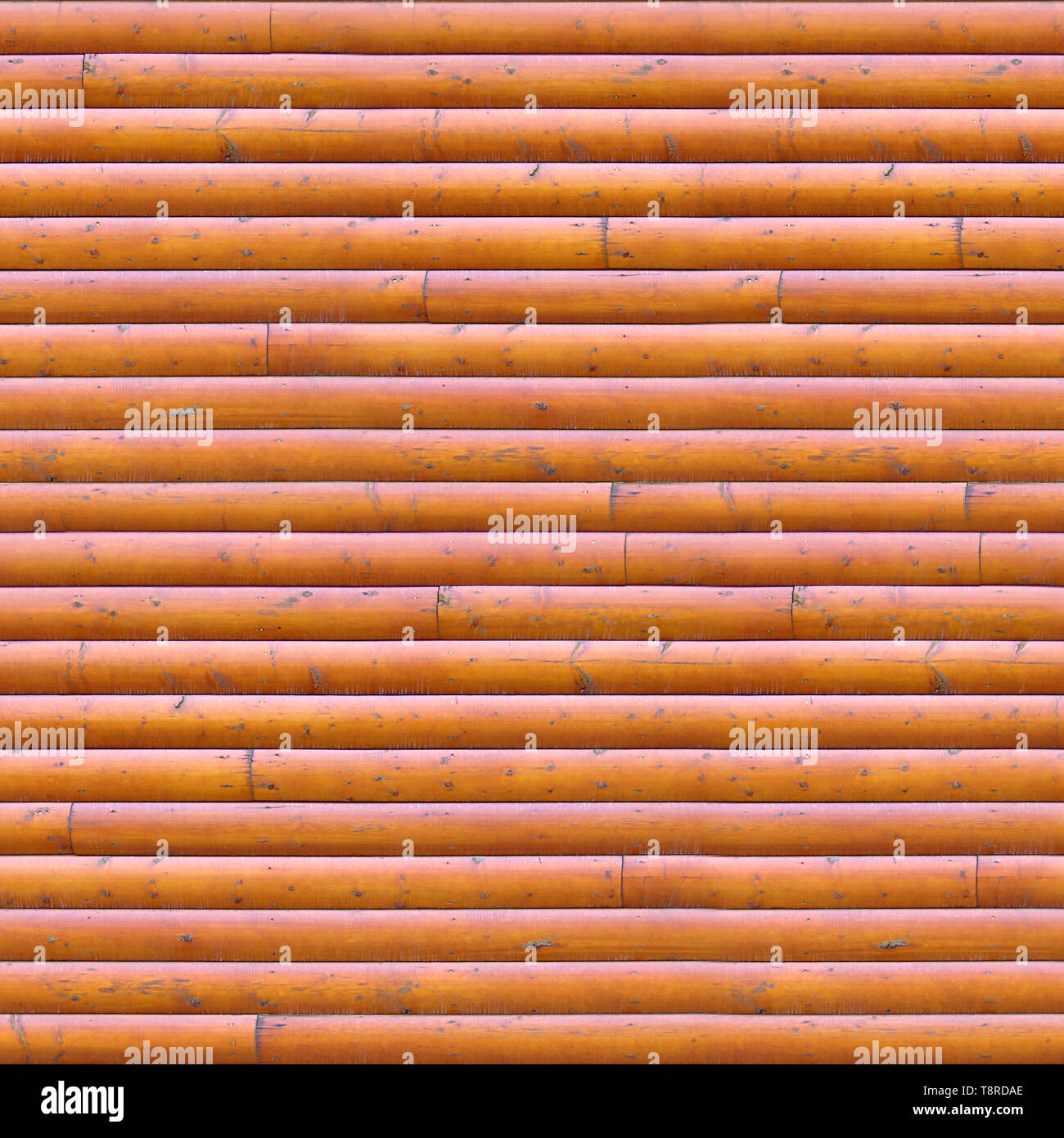 Seamless texture wooden hi-res stock photography and images - Alamy