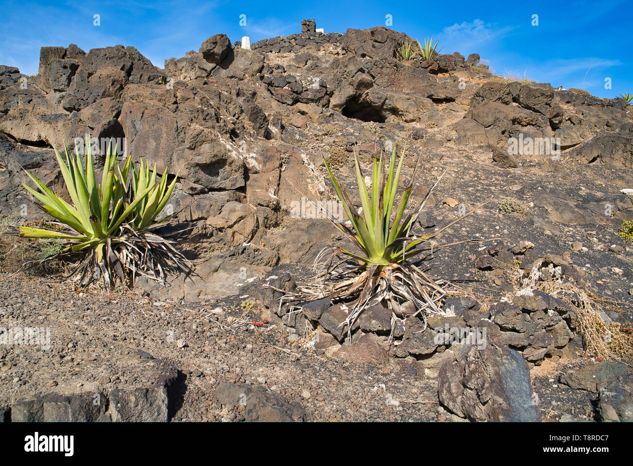 Volcanic spine hi-res stock photography and images - Alamy