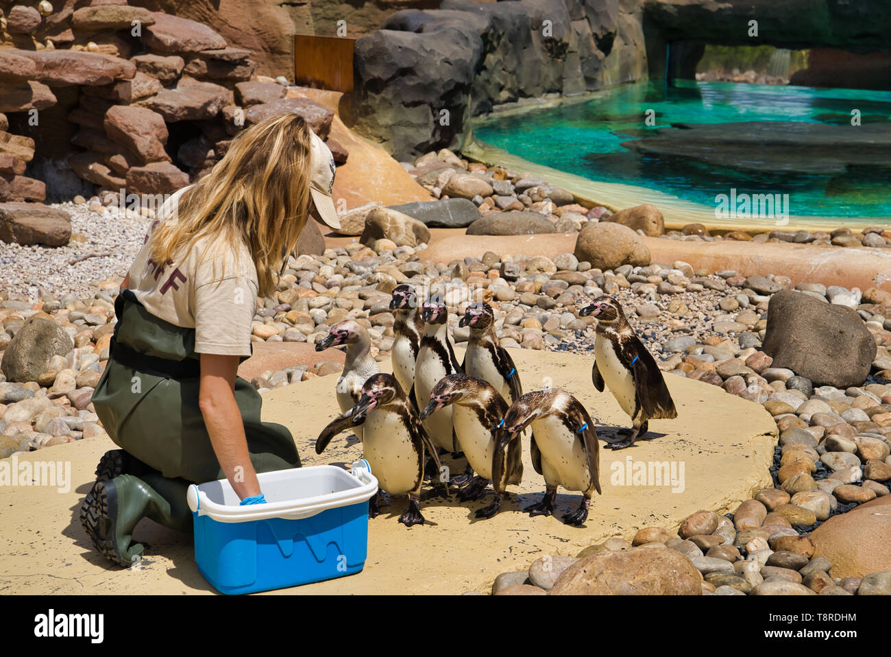 Zoo Park Lanzarote High Resolution Stock Photography and Images - Alamy