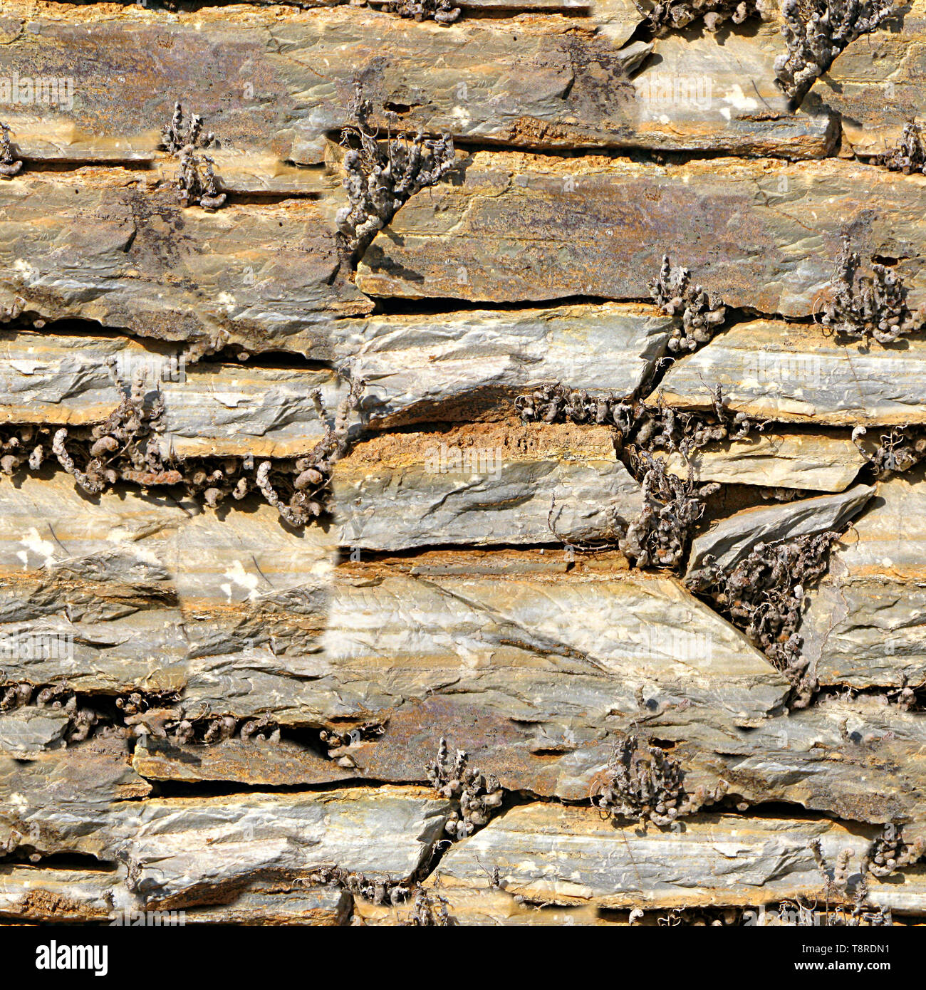 Stone Wall Seamless Texture Tile Stock Photo - Alamy