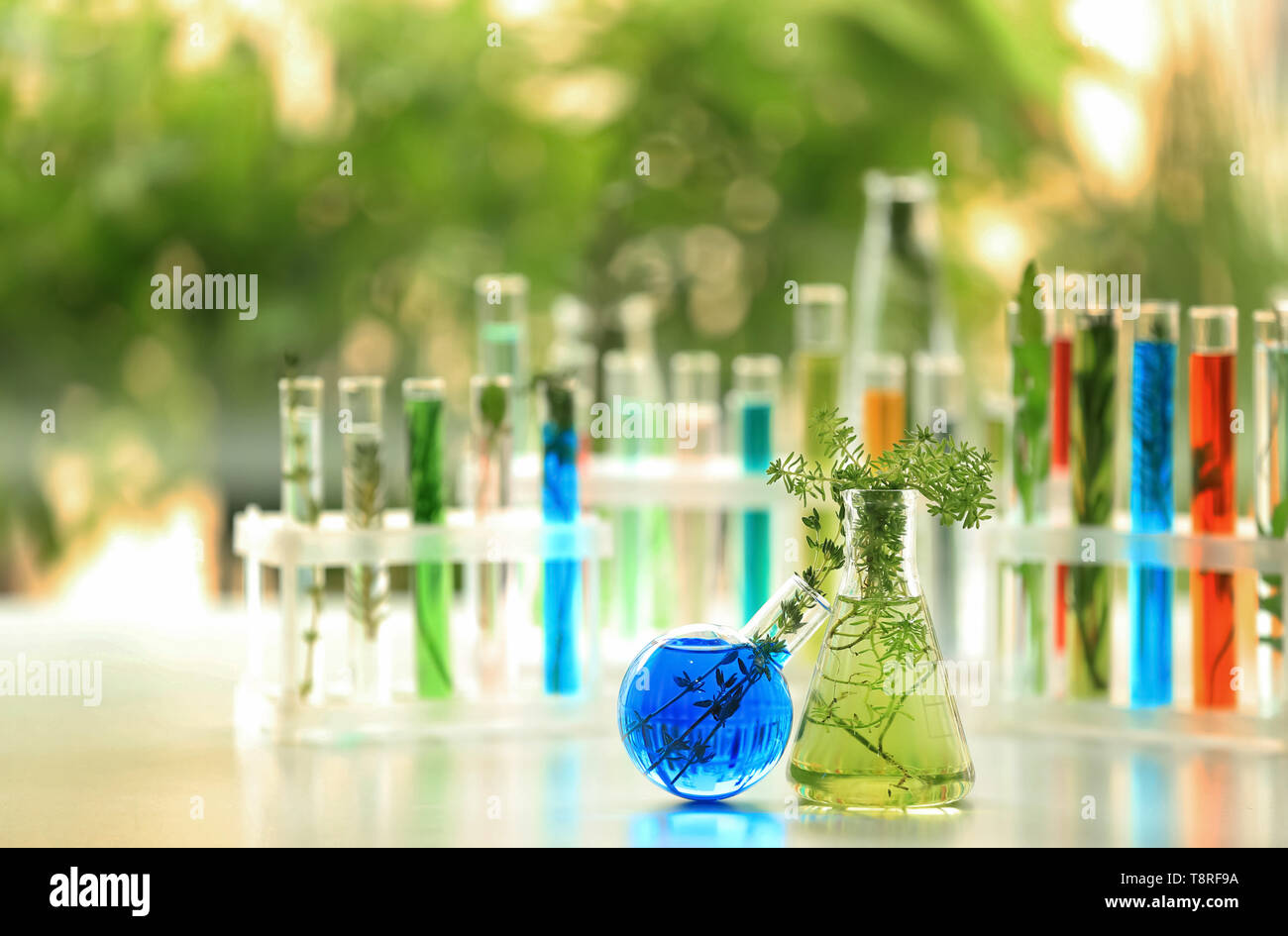 Flasks with plants and liquids on table Stock Photo - Alamy