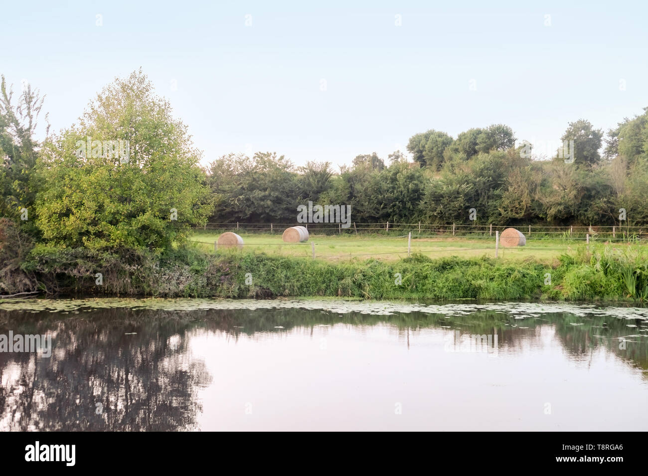 Beautiful pond in park on summer day Stock Photo - Alamy