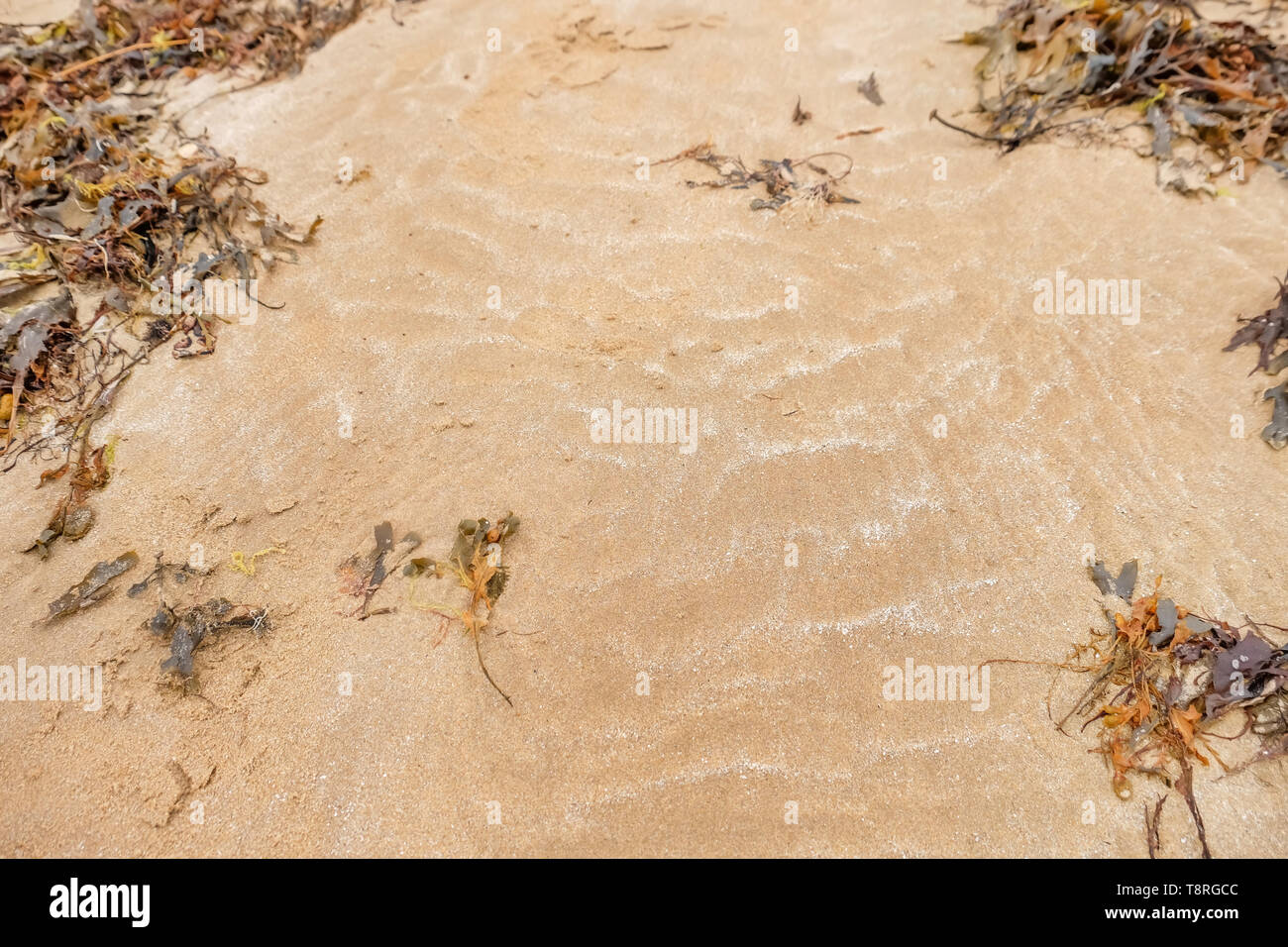 Wet sand on sea shore Stock Photo - Alamy