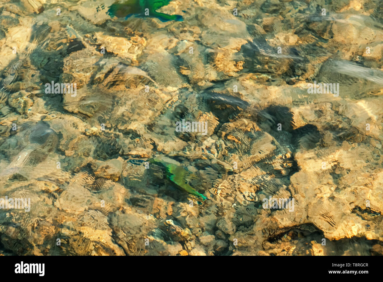 Pure sea water as background Stock Photo - Alamy