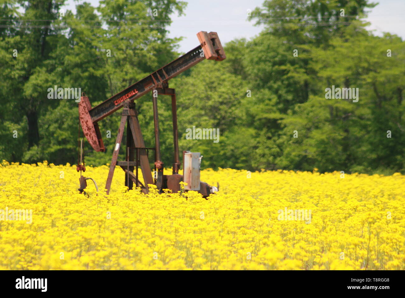 Old Man Churning Stock Photo - Alamy
