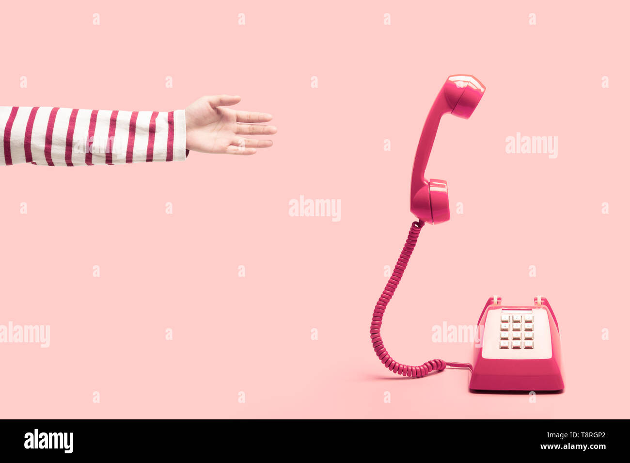 Hand reaching to the pink retro telephone, phone calling on pink ...