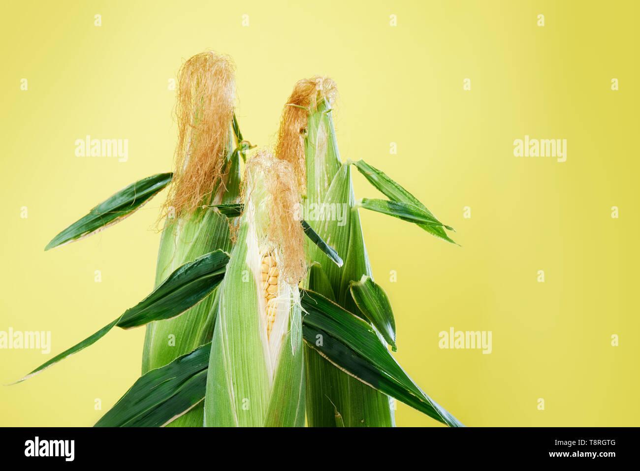 Corn picker farm hi-res stock photography and images - Alamy
