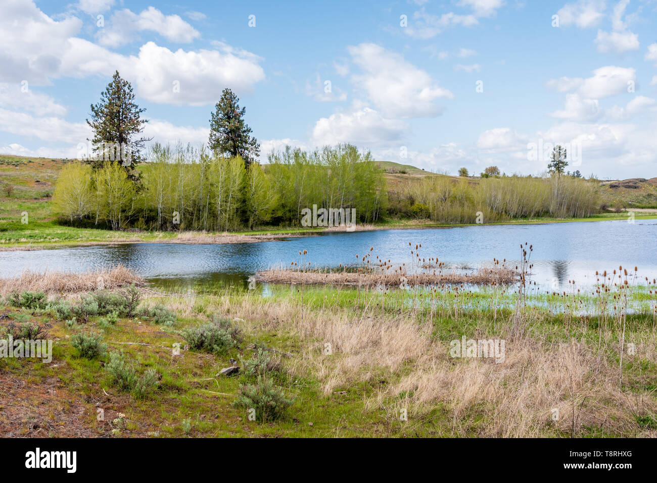 Fishtrap hi-res stock photography and images - Alamy