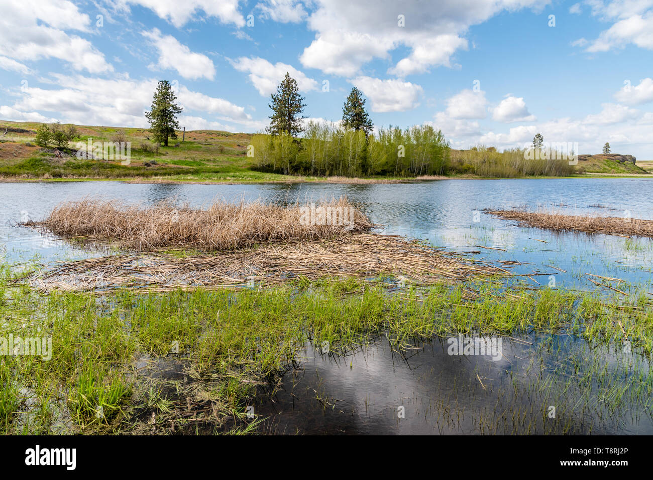 Farm Pond At Fishtrap Recreation Area Stock Photo - Alamy