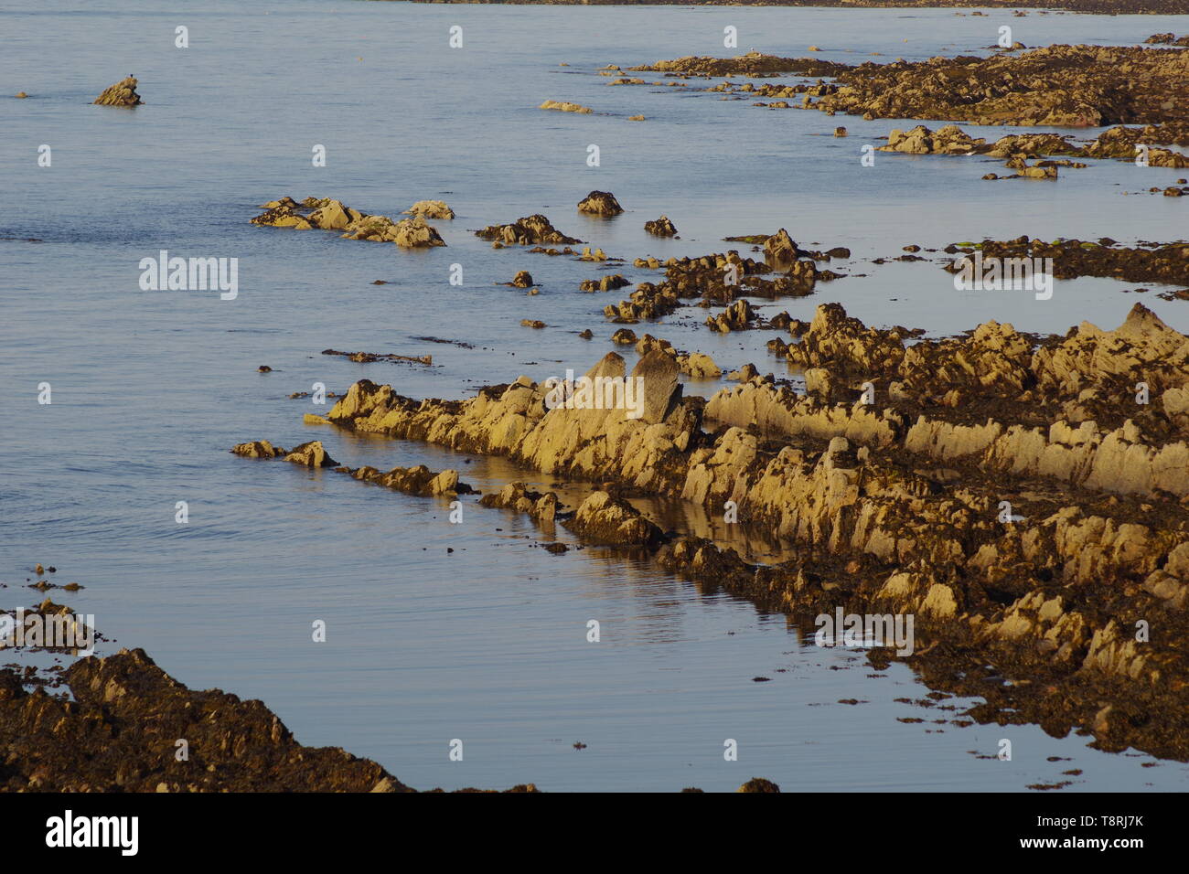 Carboniferous Sandstone Geology Exposed along the Rugged Fife Coast at ...