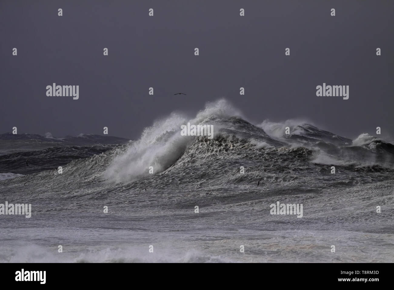 Windy weather high waves breaking hi-res stock photography and images ...