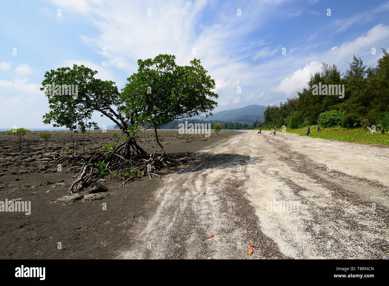 India, View on the Saddle peak and Kalipur Beach of the Andaman and ...