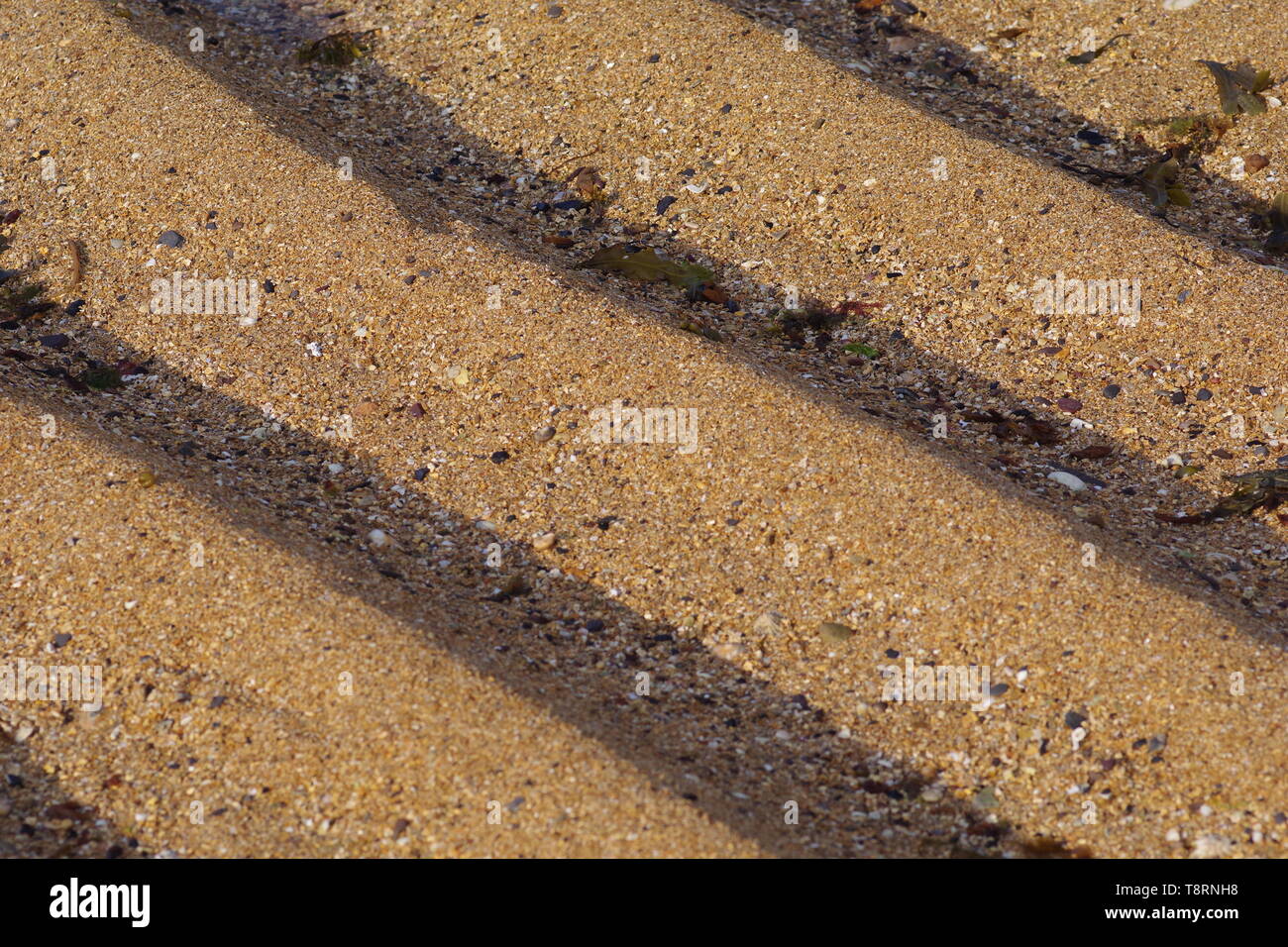 Symmetrical Sand Ripples in Golden Beach Sand at Crail. Natural ...