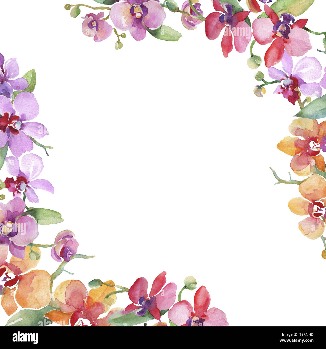 Orchid Clipart Border