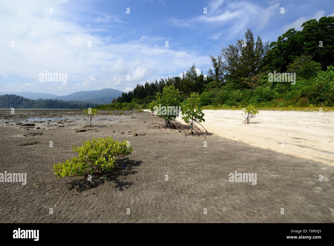 India, View on the Saddle peak and Kalipur Beach of the Andaman and ...