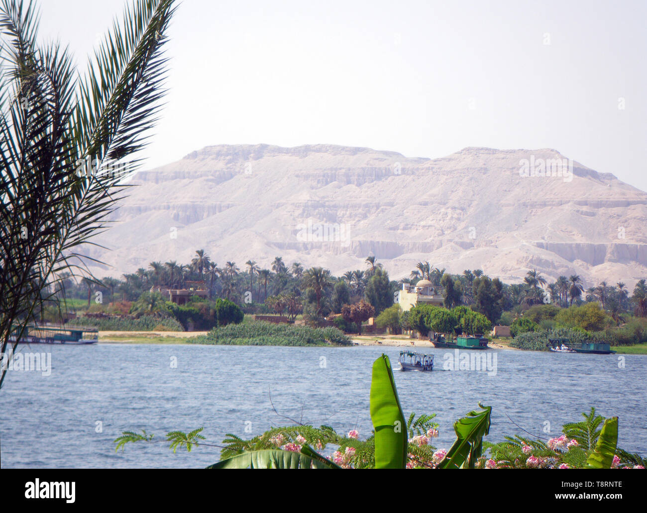 A view of the river Nile Stock Photo - Alamy