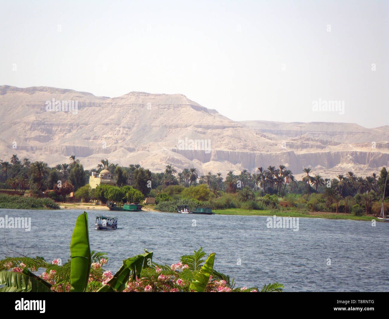 A view of the river Nile Stock Photo - Alamy