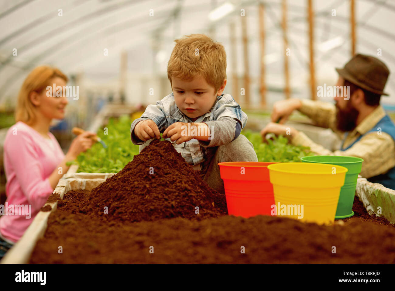 future life. future life growing. future life concept. future life of ...