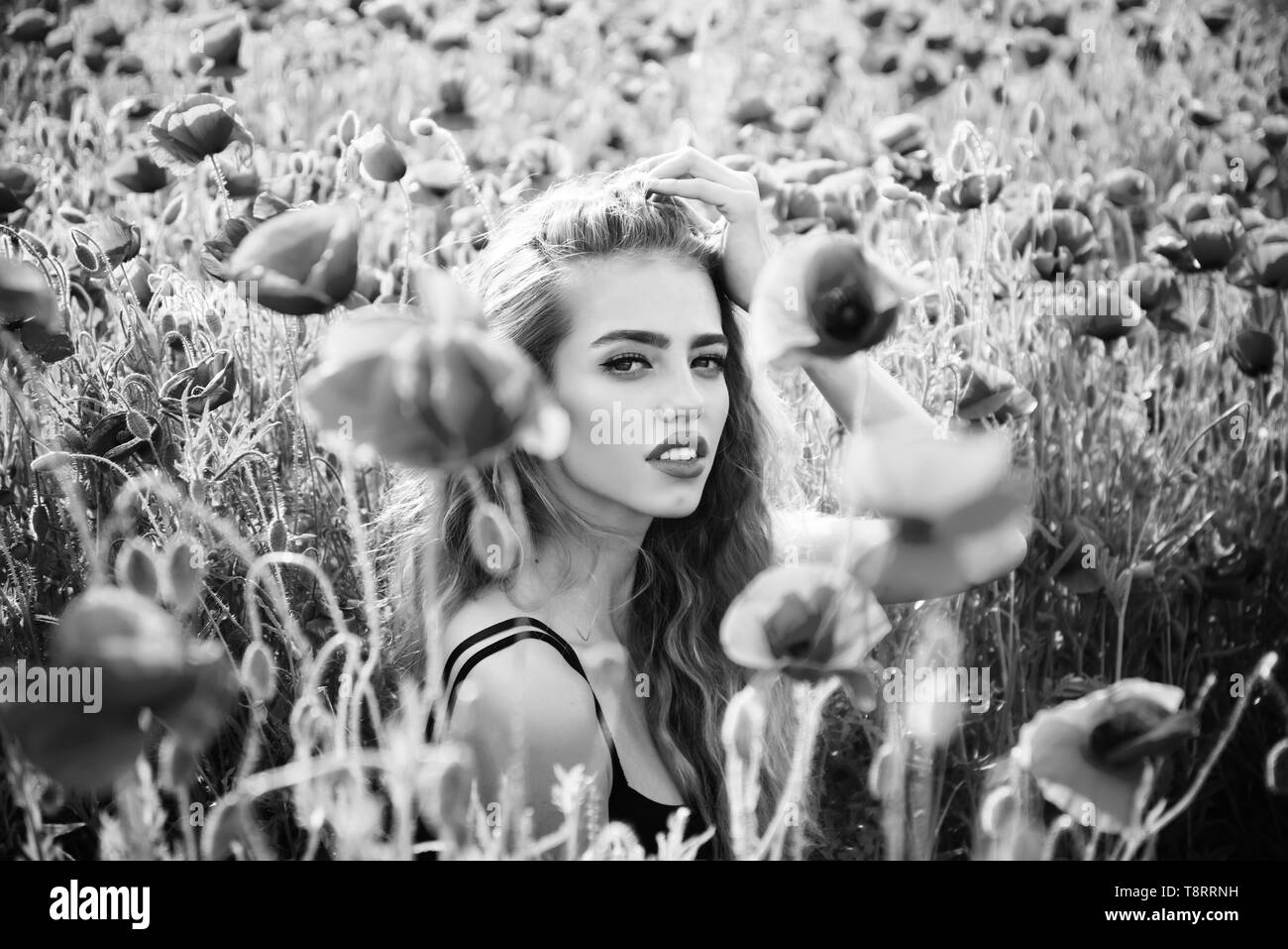 poppy seed and girl with long curly hair Stock Photo - Alamy