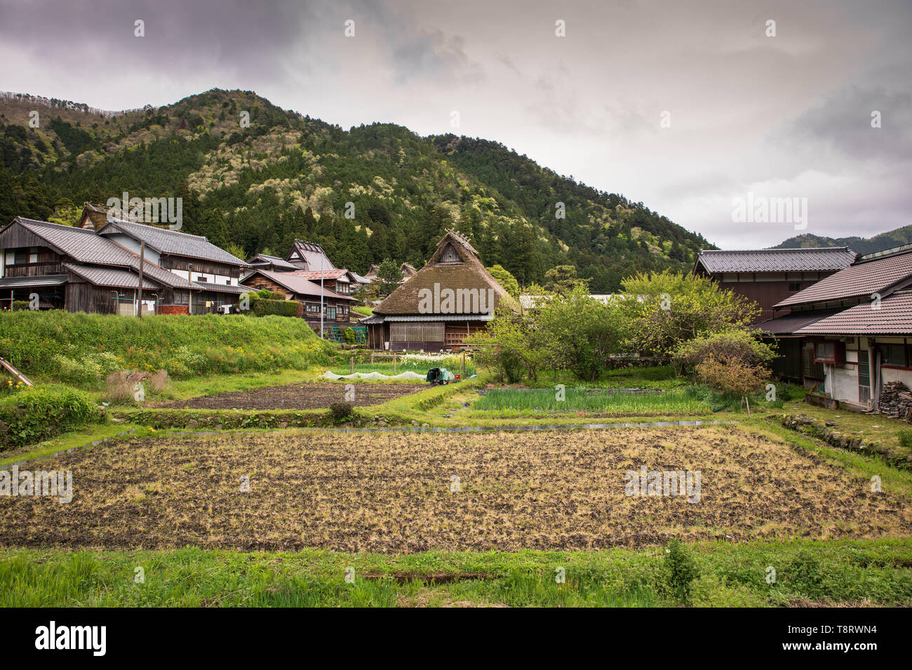 Japanese farming hi-res stock photography and images - Alamy