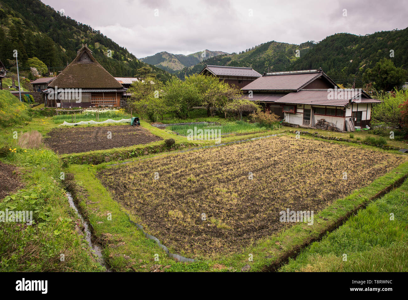Mountain people planting trees hi-res stock photography and images - Alamy