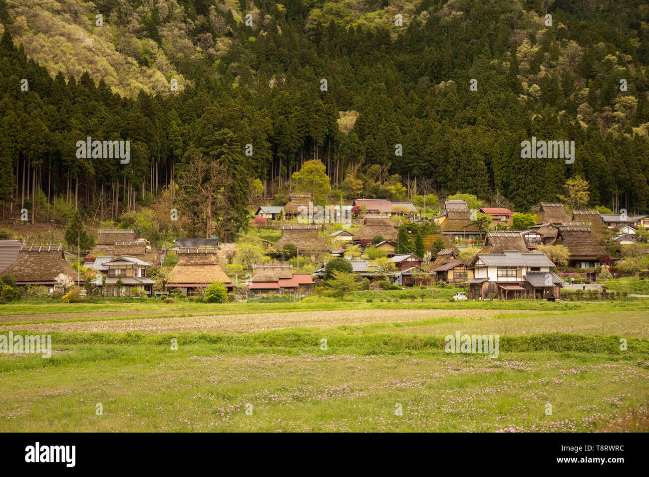Small Japanese farming village nestled against woods at base of ...