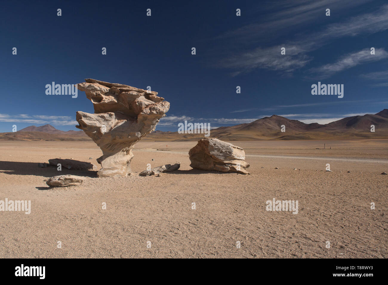 The Arbol de la Piedra "Tree of Stone," eroded rocks in the Salar de ...