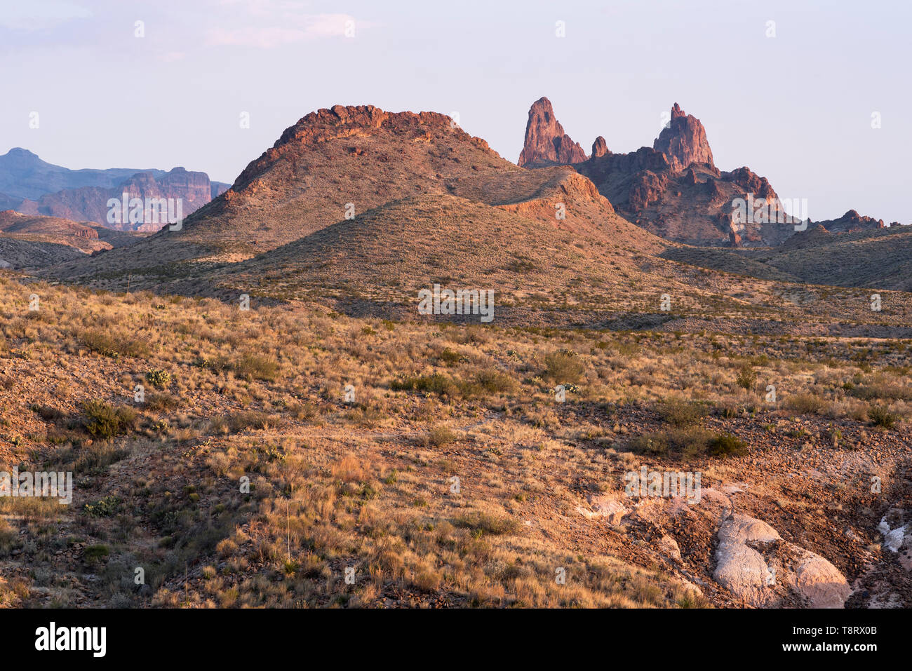 Mule Ears formation located in Big Bend National Park. A hiking trail ...
