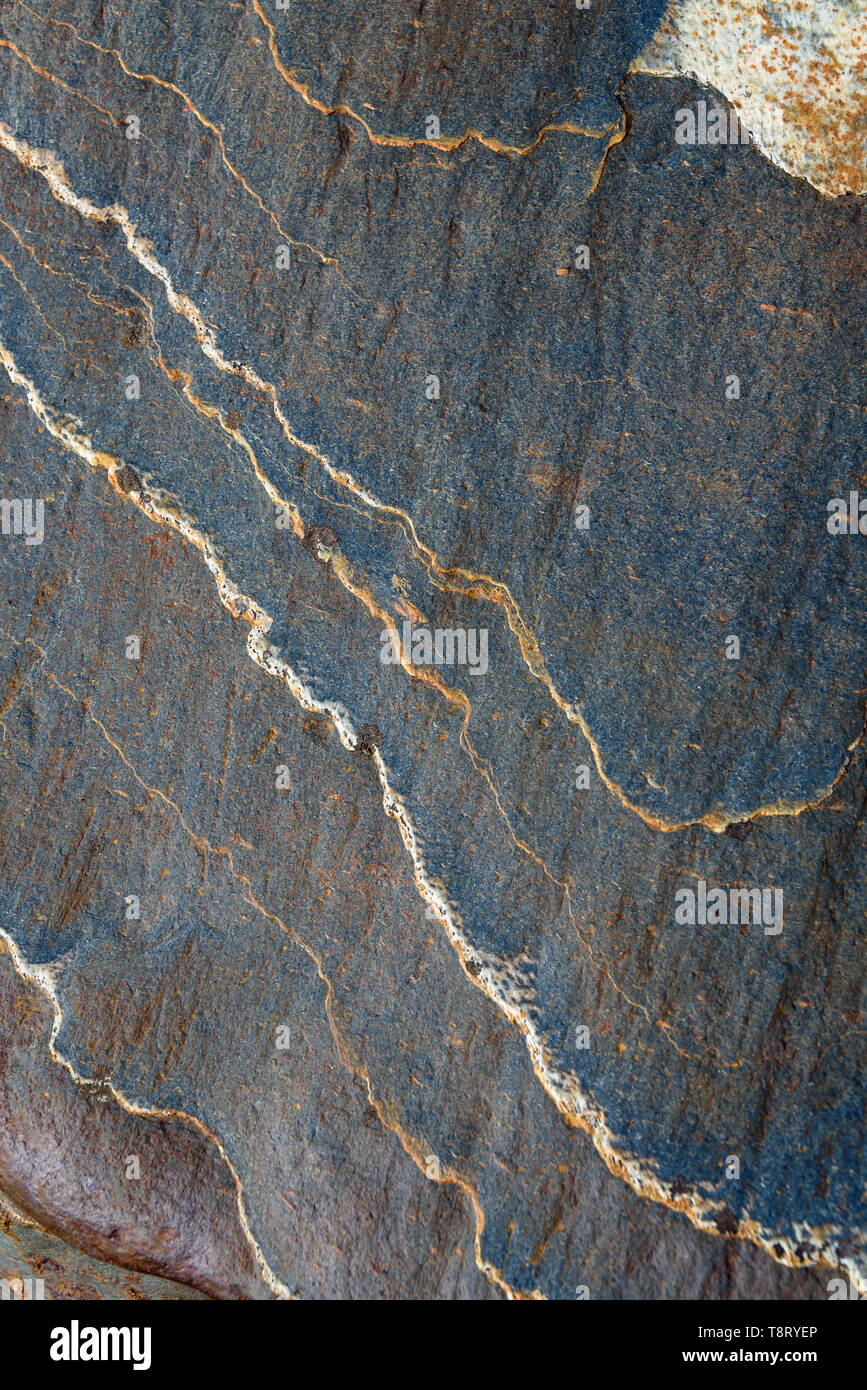 Blue gray stone with white and orange lines of pattern and texture as a ...