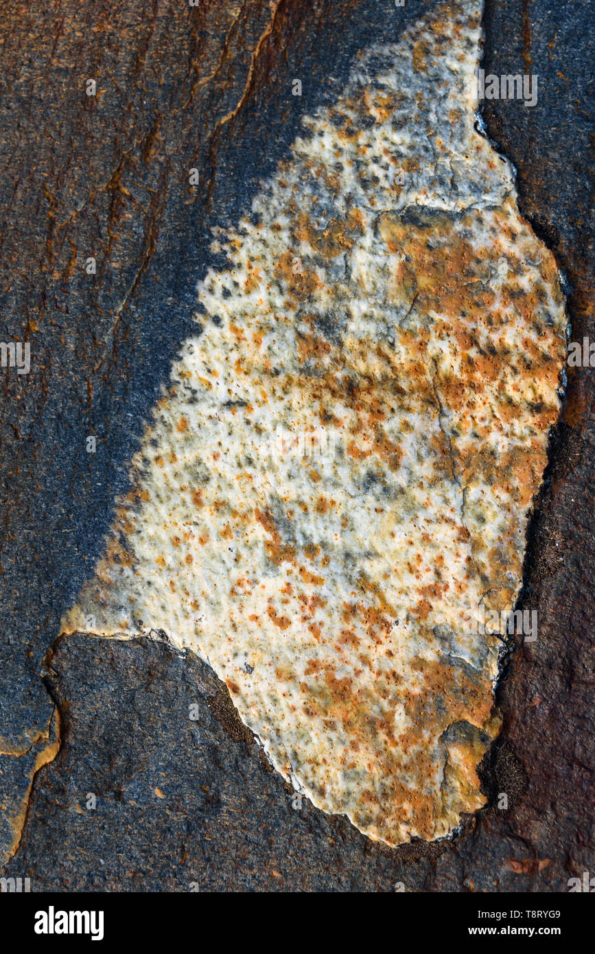 White stone with orange spots surrounded by blue gray, as a nature ...