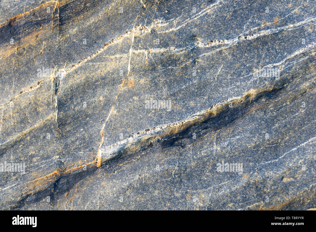 Diagonal Lines In Nature