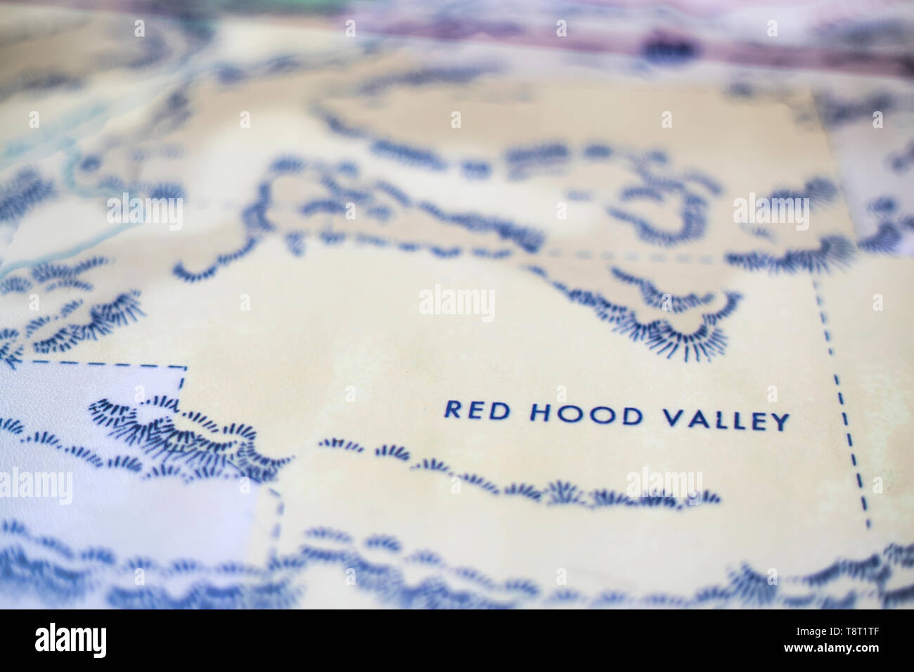 Close up of a topographical road map in Disney's Cars Universe - Red ...