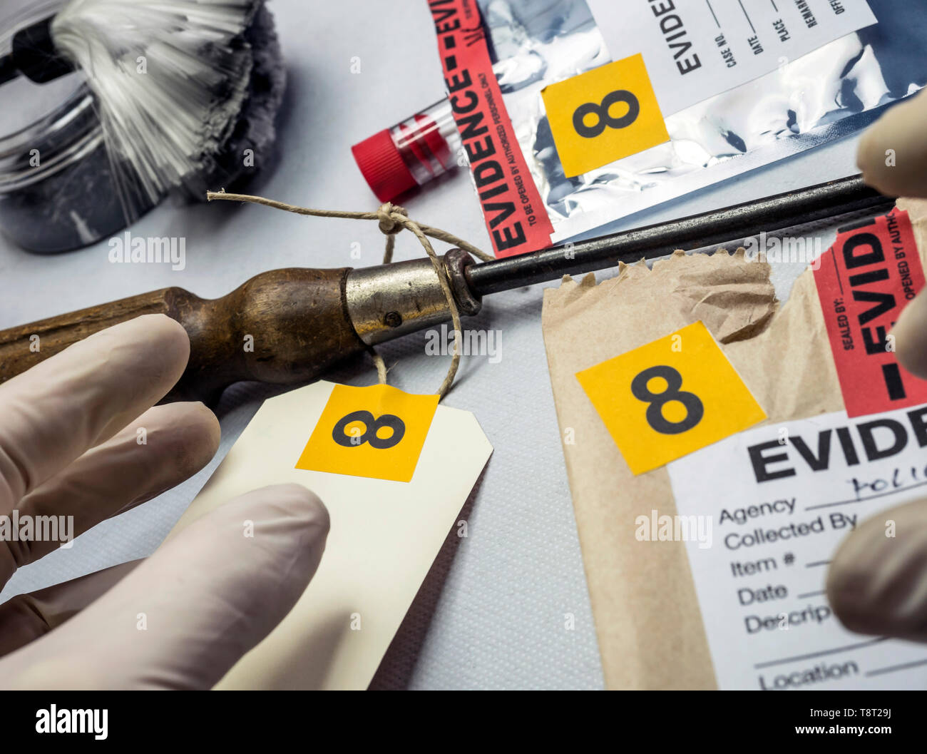 Police expert inspects a screwdriver from the scene of a crime ...