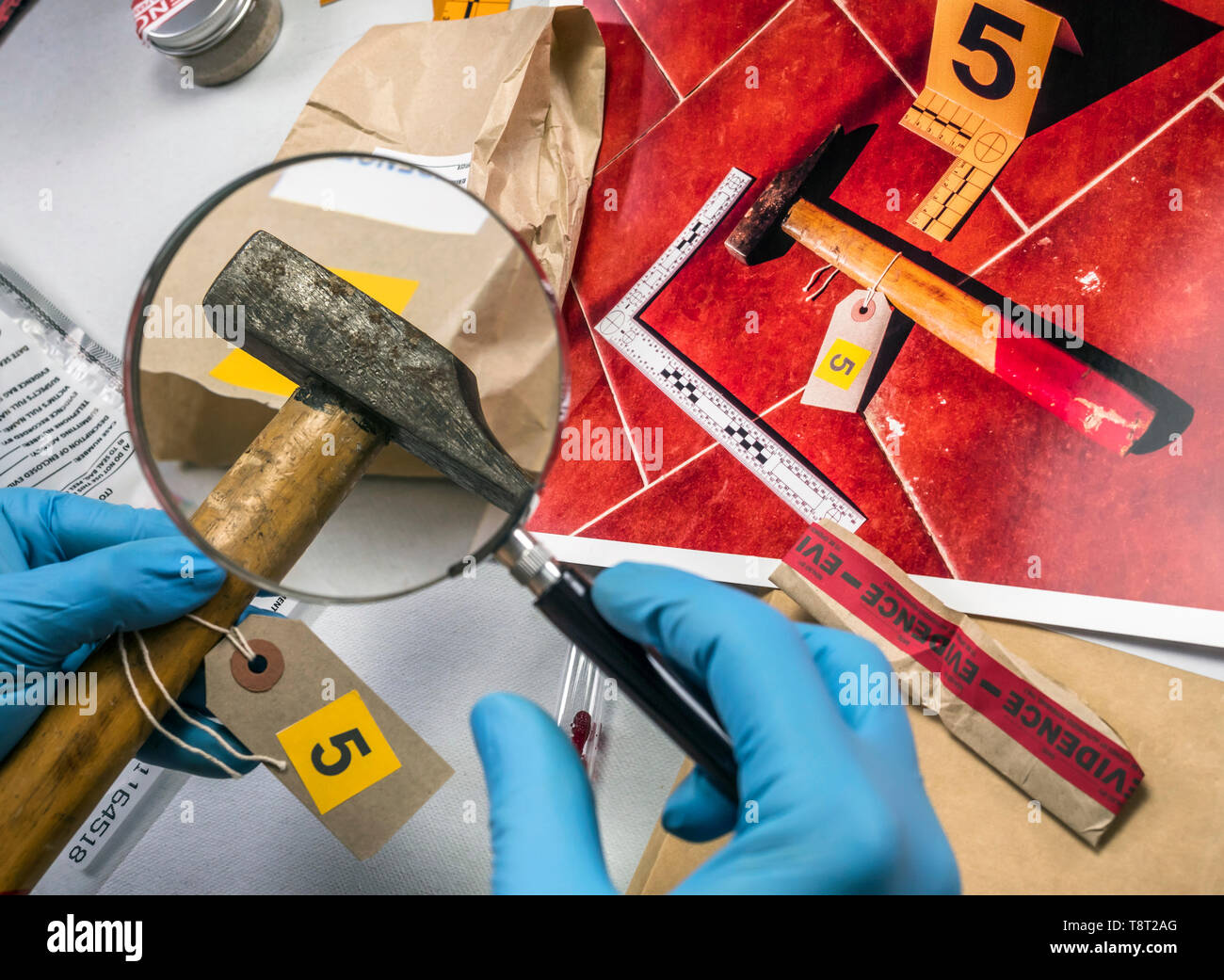 Expert police examines with magnifying glass a hammer in laboratory ...