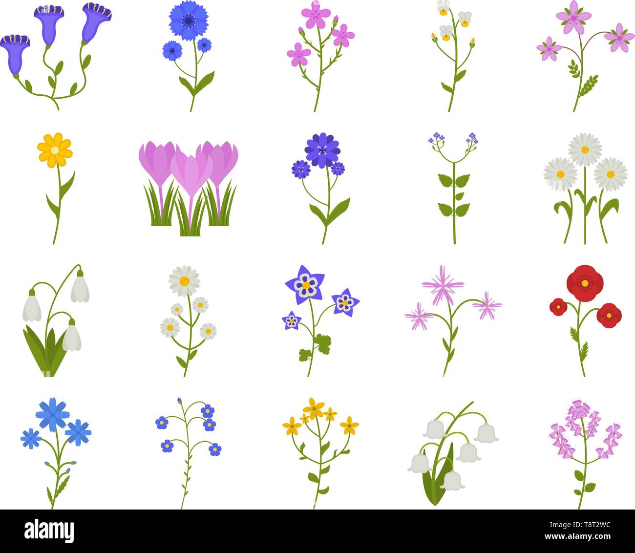 Wildflower icon set in flat style, Coronaries, cornflower, chamomile ...