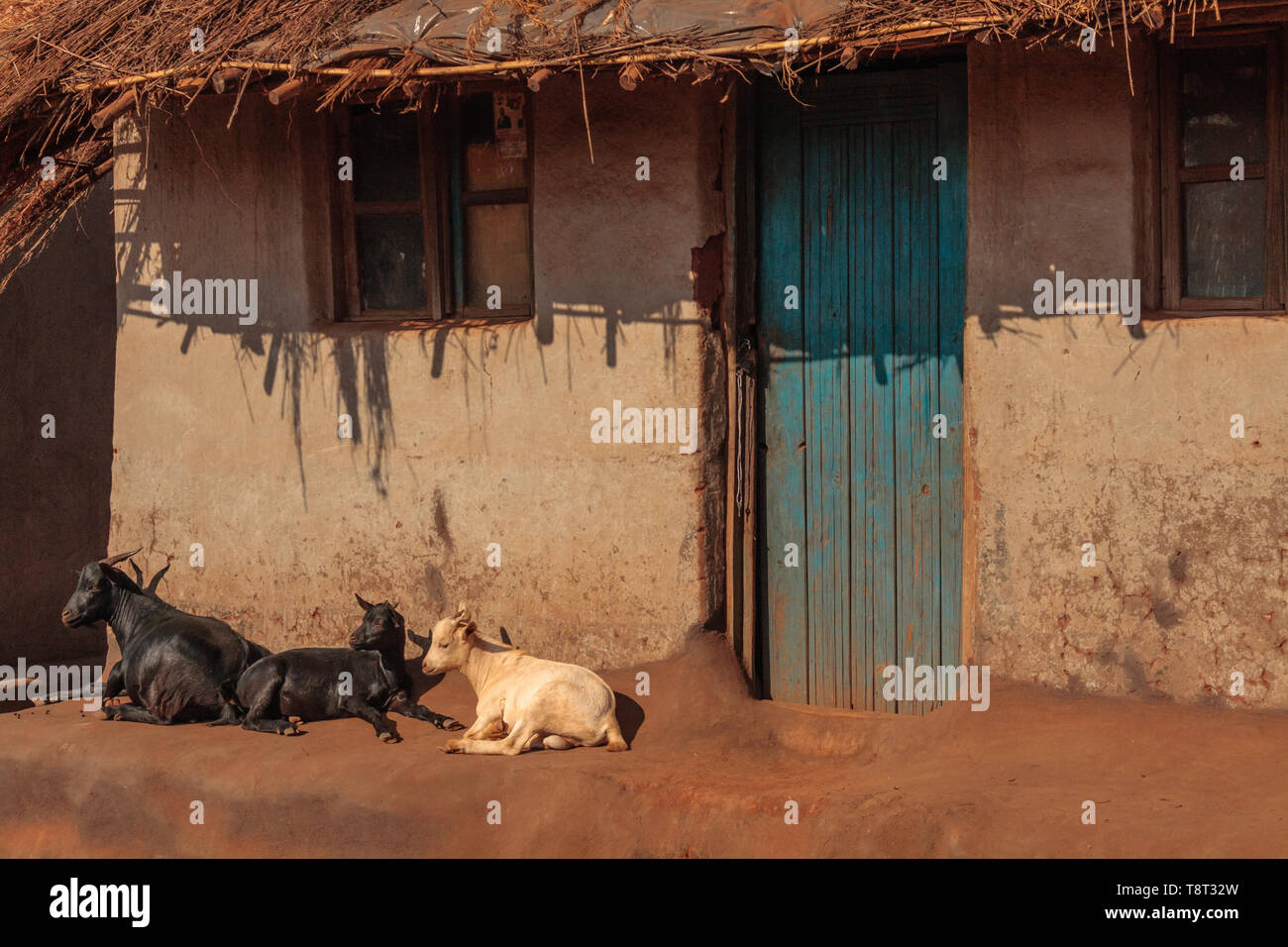 Mud house hi-res stock photography and images - Alamy