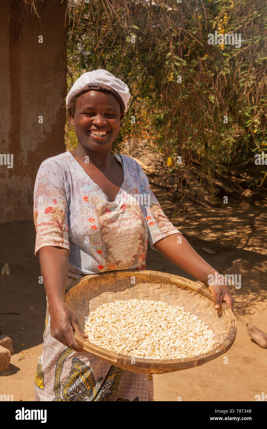 Winnowing maize hi-res stock photography and images - Alamy
