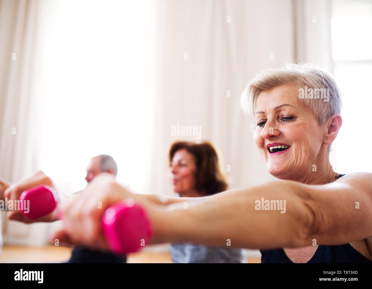 Group of active senior people doing exercise with dumbbells in ...