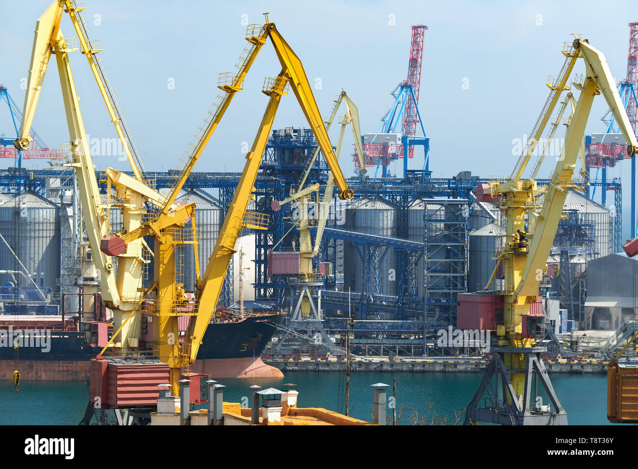 Industrial port, infrastructure of seaport, cranes and dry cargo ships ...