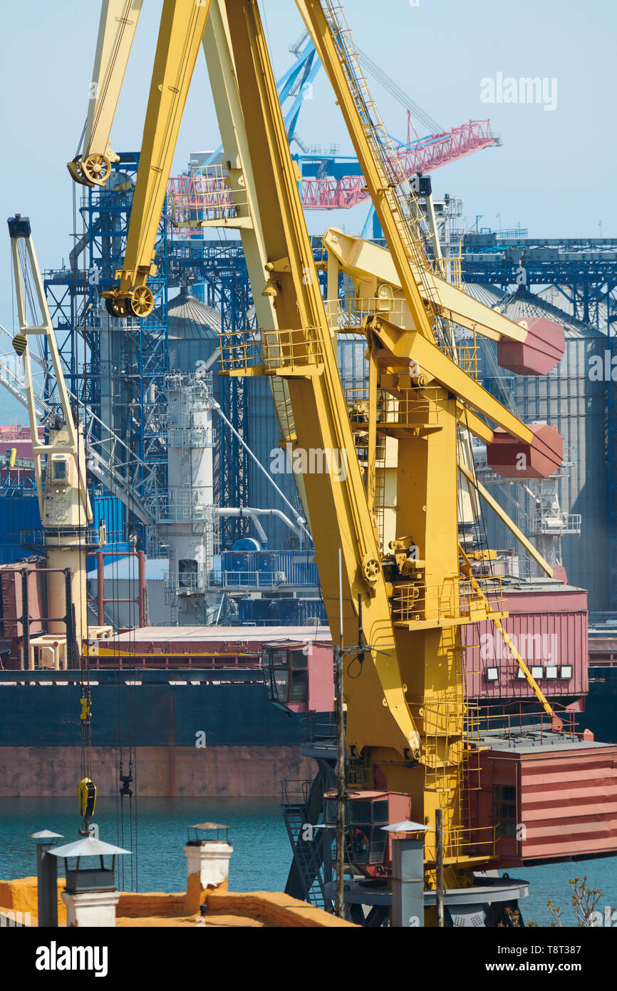 Industrial port, infrastructure of seaport, cranes and dry cargo ships ...