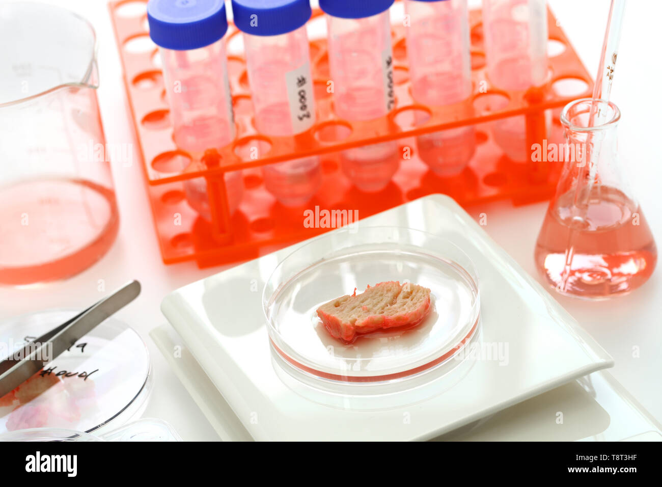 cultured meat making image, lab grown meat concept Stock Photo - Alamy cultured meat making image, lab grown meat concept Stock Photo - Alamy
