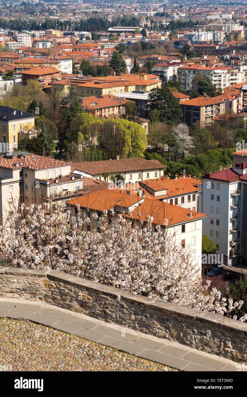 Landscape aerial view of the nice city of Bergamo Alta in Northern ...