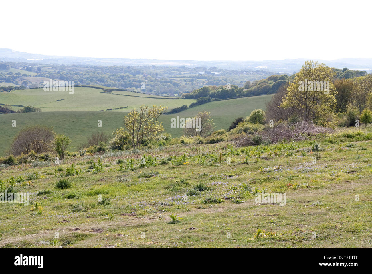 View from Brading Down viewpoint, Isle of Wight Stock Photo - Alamy